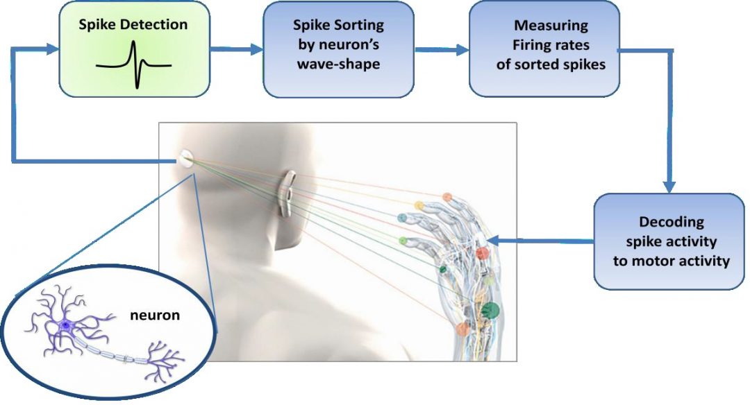 Introduction of Neural Recording Channels — MATLAB Number ONE
