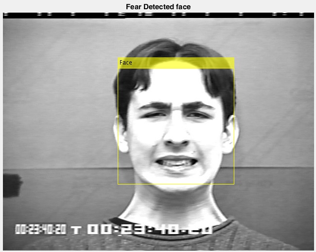 Emotion Detection Through Facial Feature Analysis
