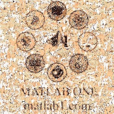 MATLAB Implementation of Texture Transfer Algorithm