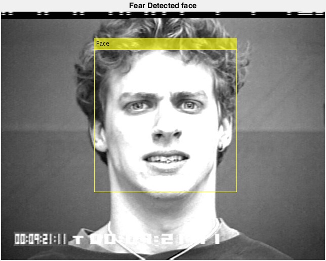 Emotion Detection Through Facial Feature Analysis