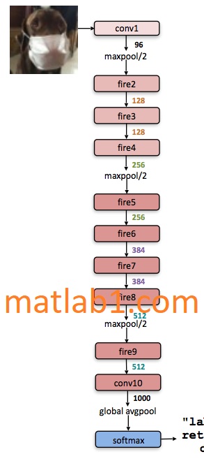 The SqueezeNet model